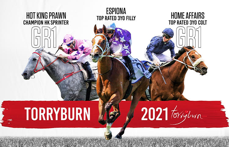 News Around the Tracks | Torryburn Stud